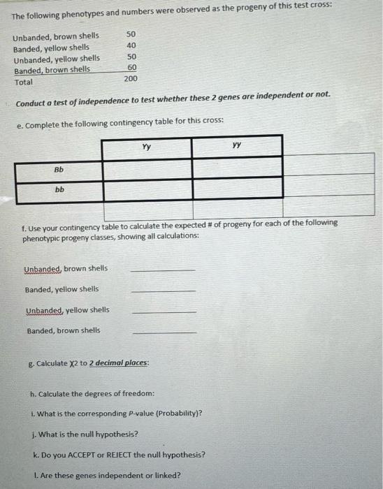 Solved note: banded shell (b) is recessive to the unbanded | Chegg.com