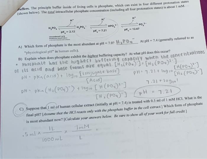 Solved Buffers. The principle buffer inside of living cells | Chegg.com