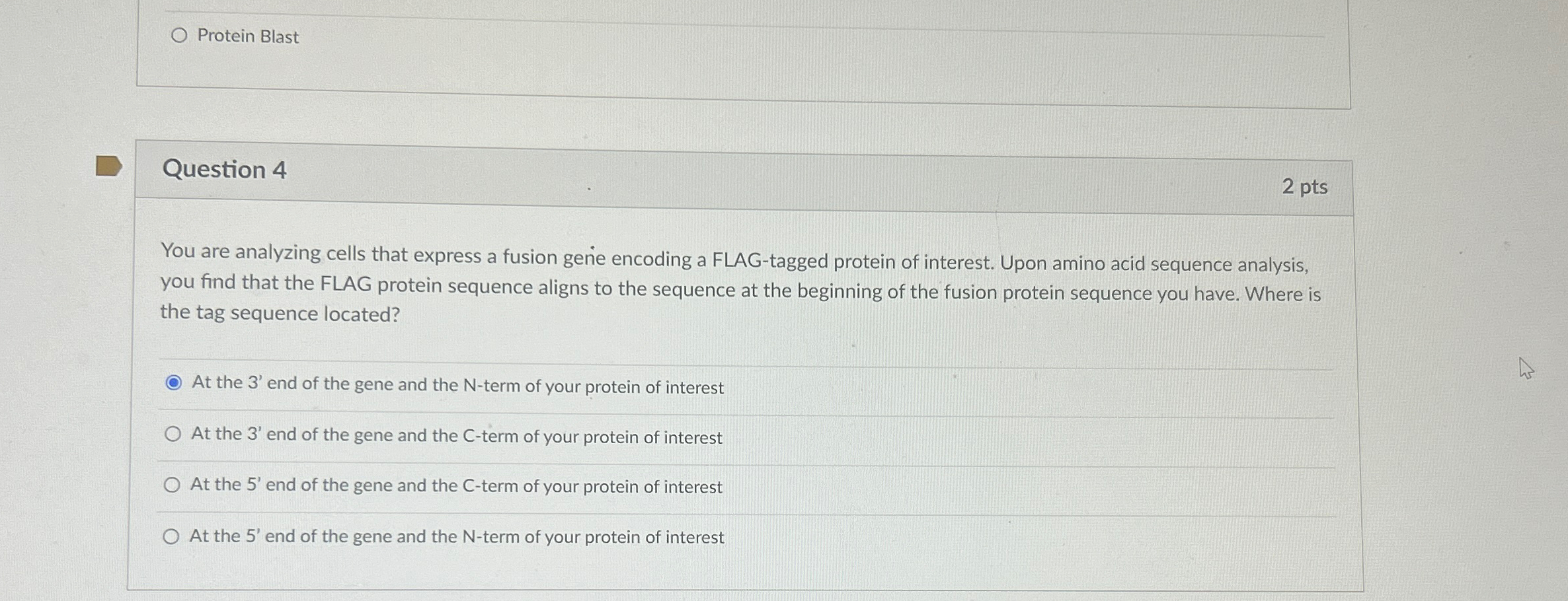 Solved Protein BlastQuestion 42 ﻿ptsYou are analyzing cells | Chegg.com