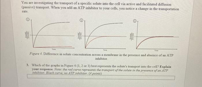 Solved You are investigating the transport of a specific | Chegg.com