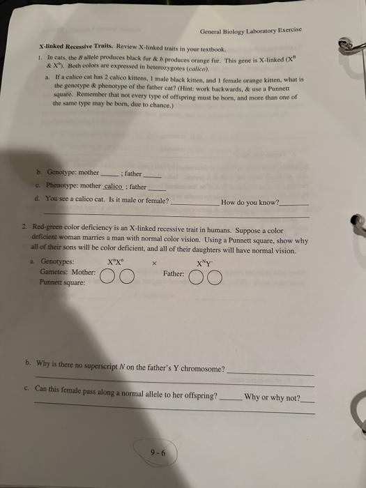 Solved X-linked Recessive Traits. Review X-linked traits in | Chegg.com