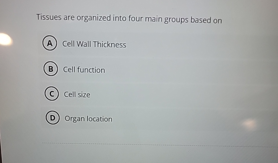 Solved Tissues are organized into four main groups based | Chegg.com