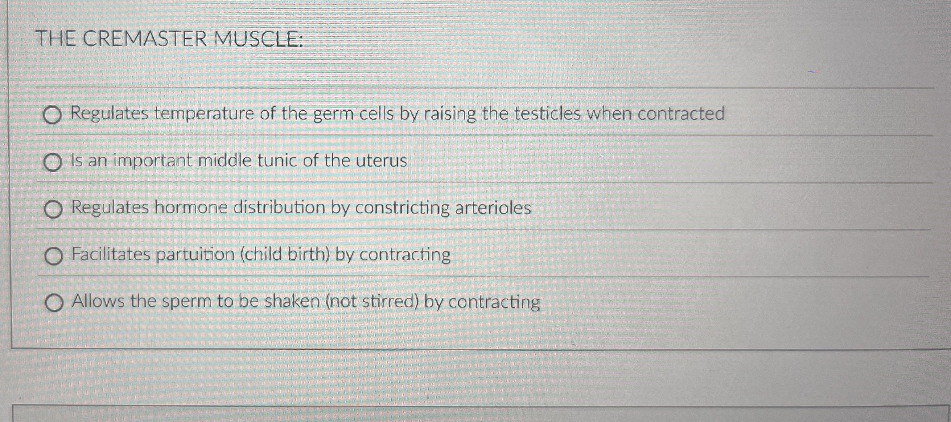 Solved THE CREMASTER MUSCLE:Regulates temperature of the | Chegg.com