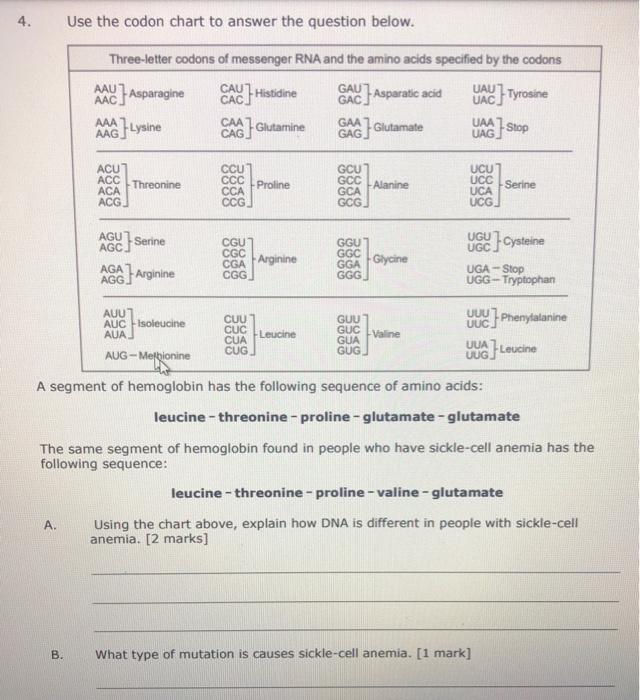 Solved 4. Use the codon chart to answer the question below. | Chegg.com