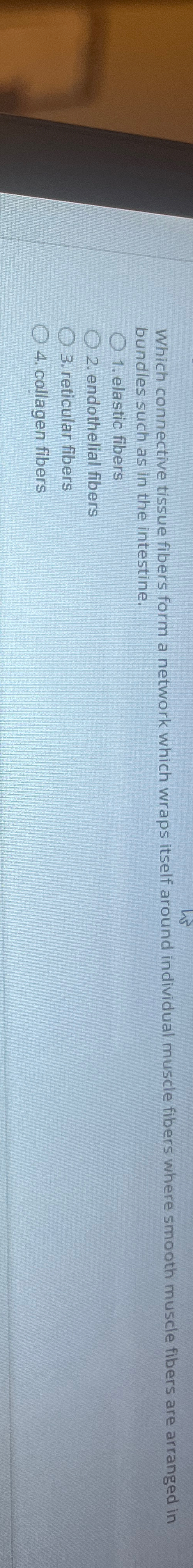 Solved Which connective tissue fibers form a network which | Chegg.com