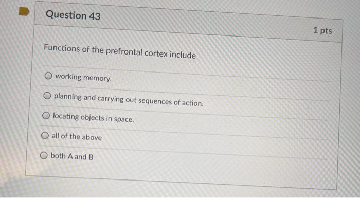 Solved Question 43 1 pts Functions of the prefrontal cortex | Chegg.com