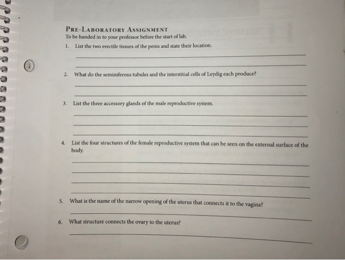 Solved PRE-LABORATORY ASSIGNMENT To be handed in to your | Chegg.com