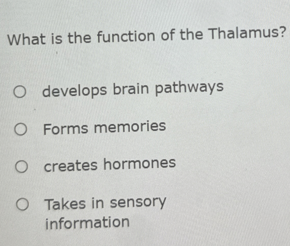 Solved What is the function of the Thalamus?develops brain | Chegg.com