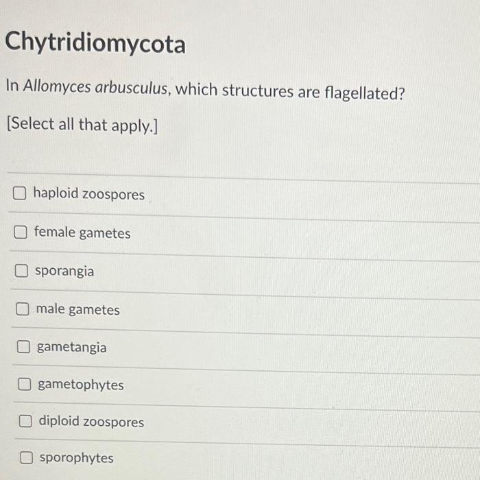 Solved In Allomyces arbusculus, which structures are | Chegg.com