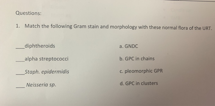 Solved Questions: 1. Match the following Gram stain and | Chegg.com