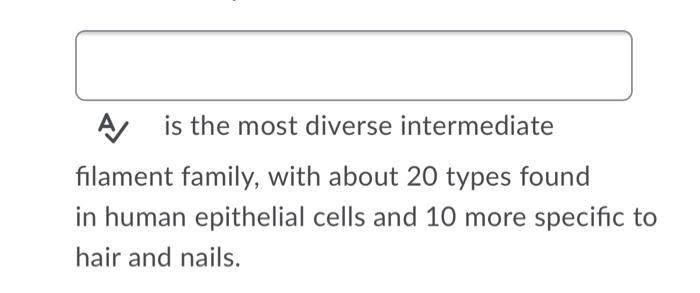 Solved A is the most diverse intermediate filament family, | Chegg.com