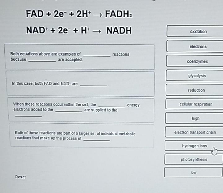 Solved FAD + 2e + 2H+ - FADH2 NAD+ + 2e + H+ NADH oxidation | Chegg.com