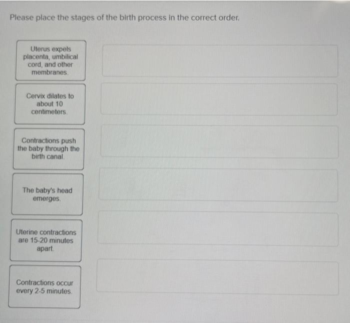 Solved Please place the stages of the birth process in the | Chegg.com