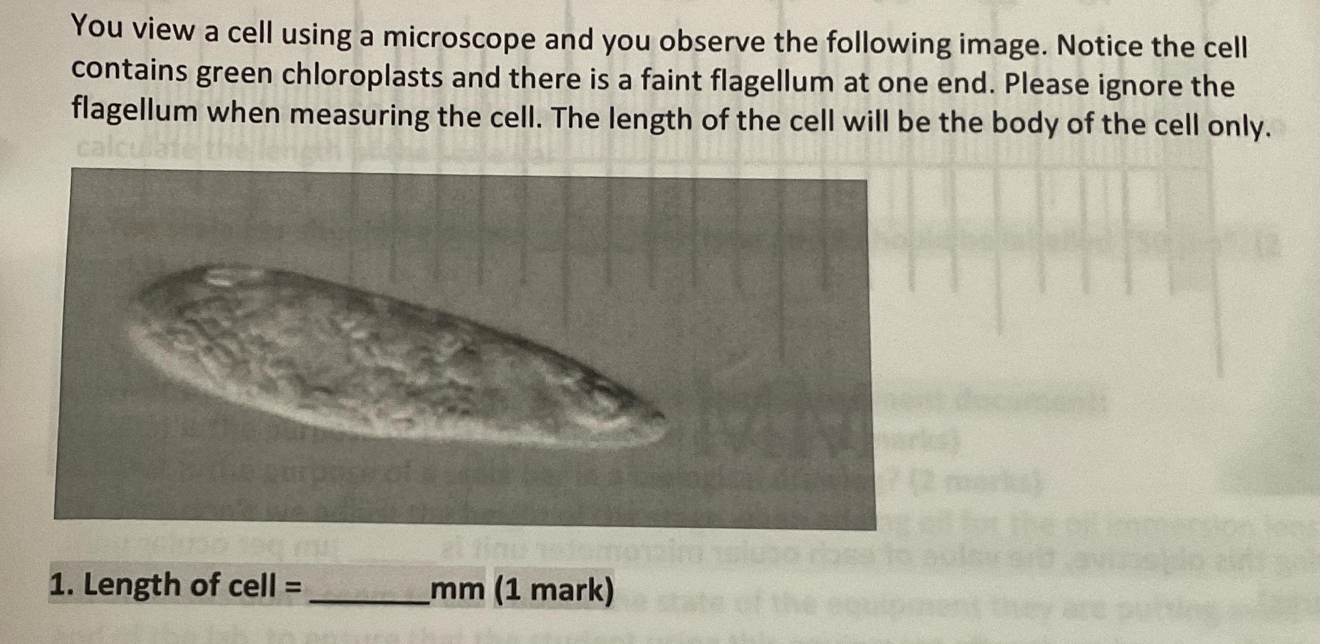 Solved You view a cell using a microscope and you observe | Chegg.com
