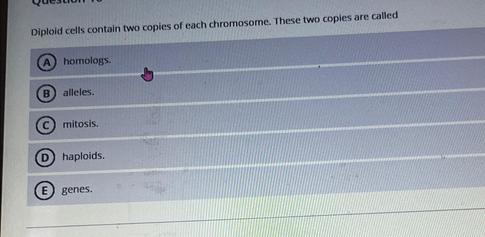 Solved Diploid cells contain two copies of each chromosome. | Chegg.com