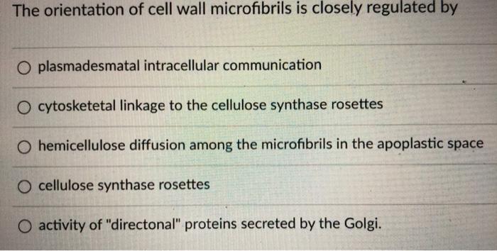 Solved The orientation of cell wall microfibrils is closely | Chegg.com