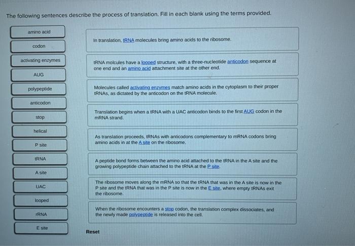 Solved Complete the following sentences describing gene | Chegg.com
