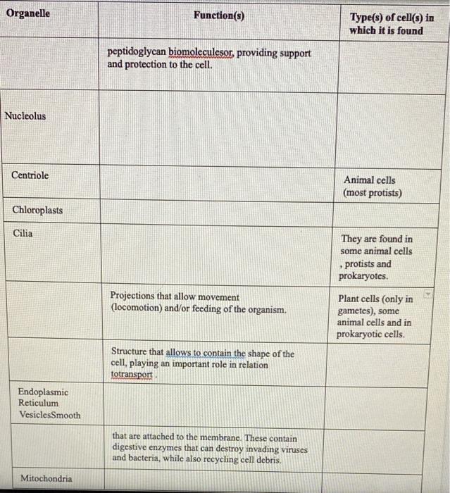 Solved Fill in the blank boxes based on the information | Chegg.com