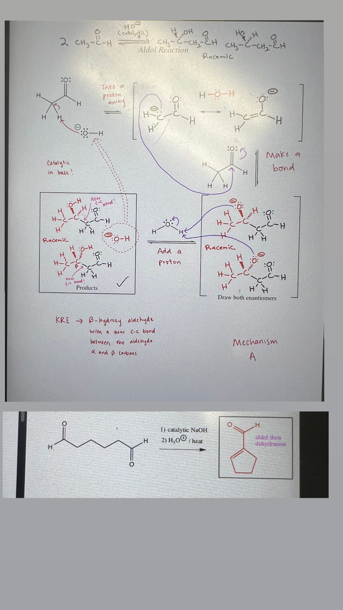 Solved Hi, ﻿I need help with understanding the bottom | Chegg.com