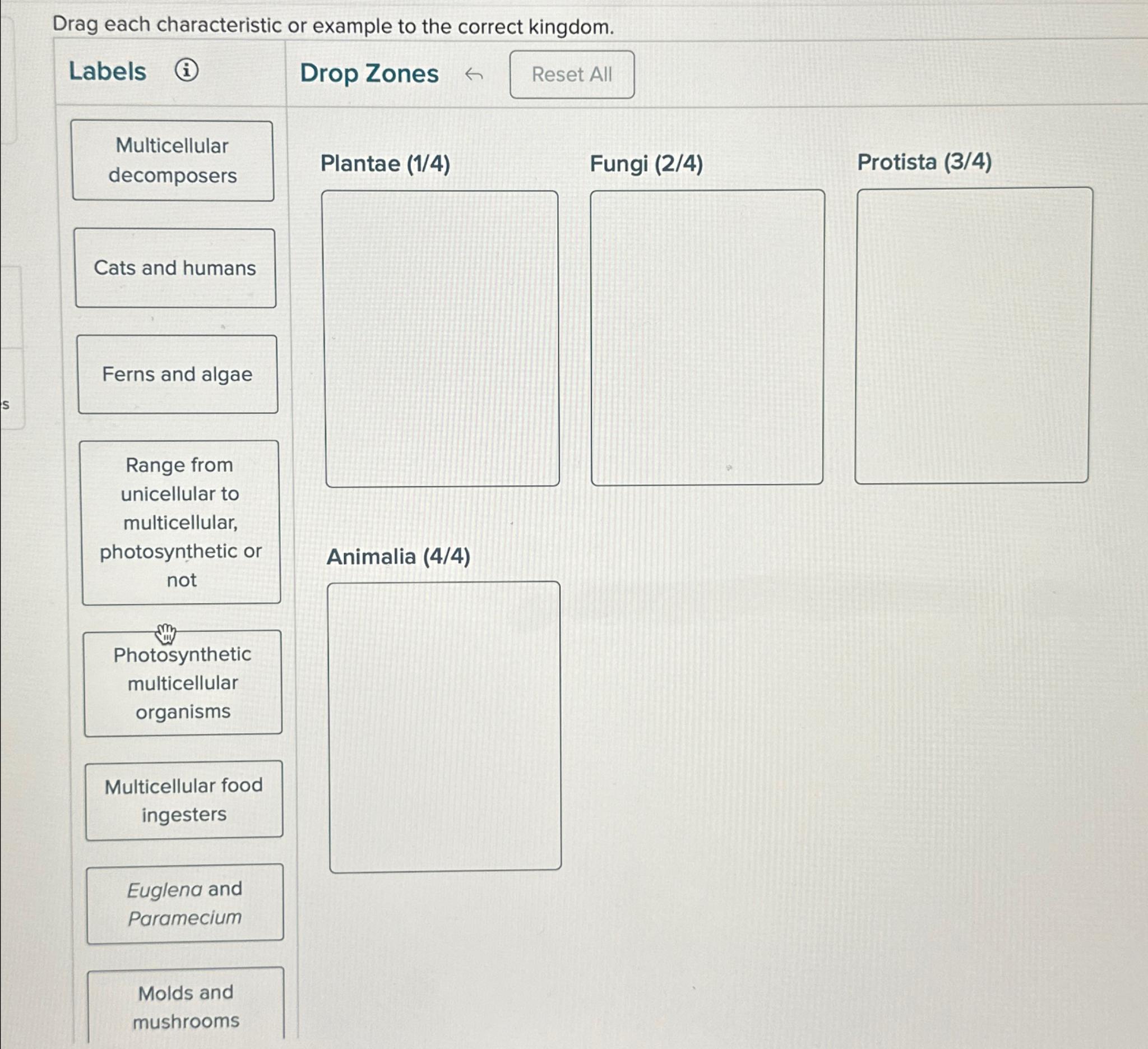 Solved Drag each characteristic or example to the correct | Chegg.com