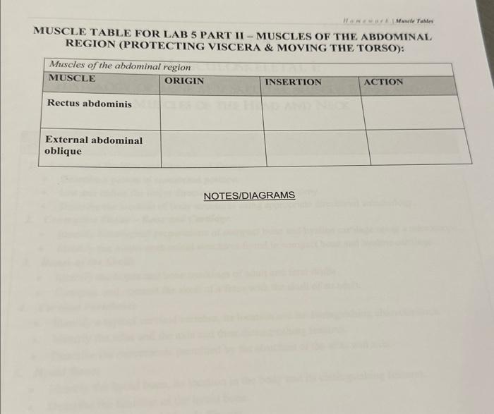 Solved MUSCLE TABLE FOR LAB 4 PART I-MUSCLES MOVING | Chegg.com