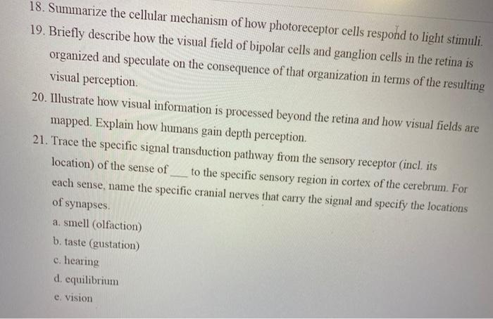 Solved 12. Describe the process of hair cell stimulation | Chegg.com