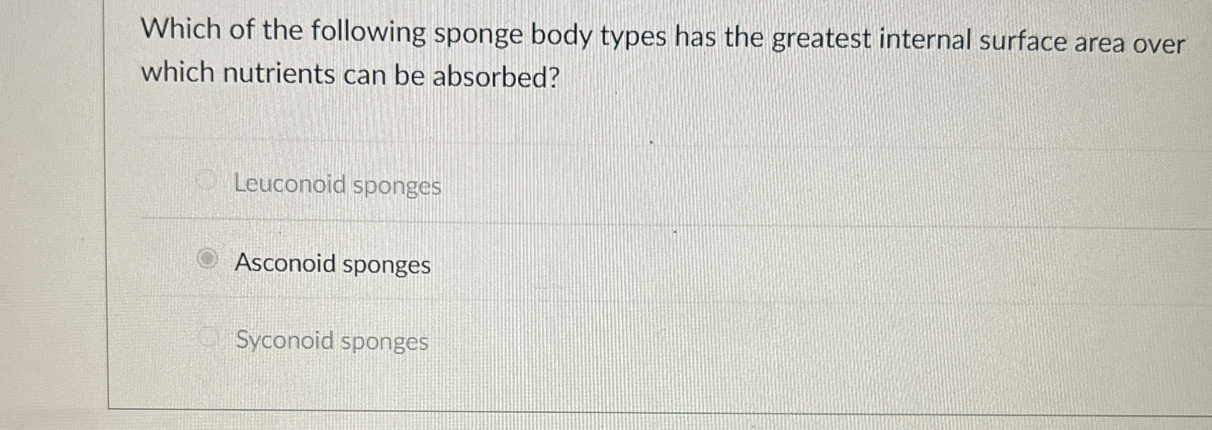 Solved Which of the following sponge body types has the | Chegg.com