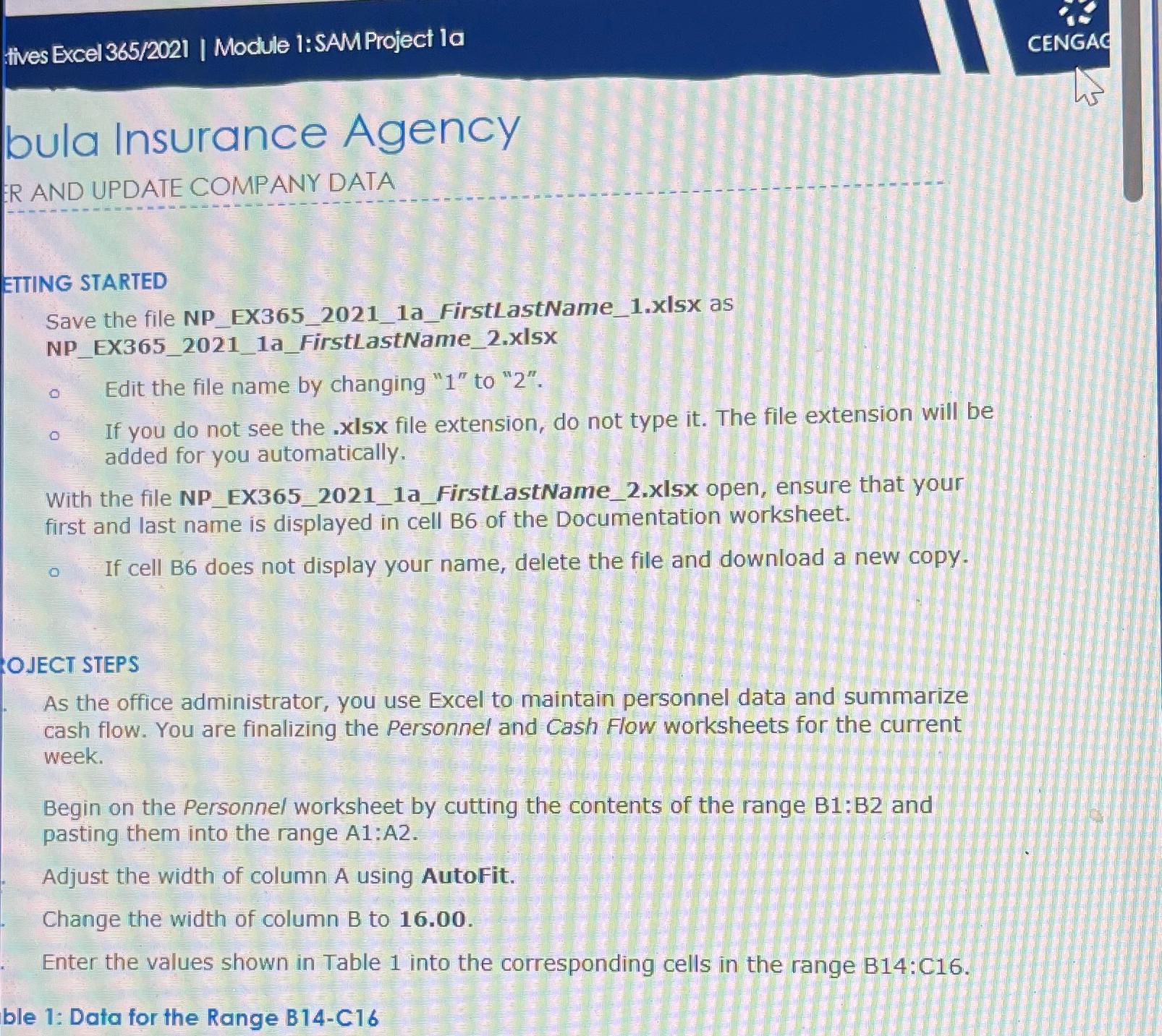 Solved tives Excel 365/2021 | ﻿Module 1:SAM Project | Chegg.com