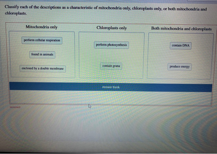 Solved Classify each of the descriptions as a characteristic | Chegg.com