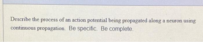 Solved Compare temporal summation and spatial summation. | Chegg.com
