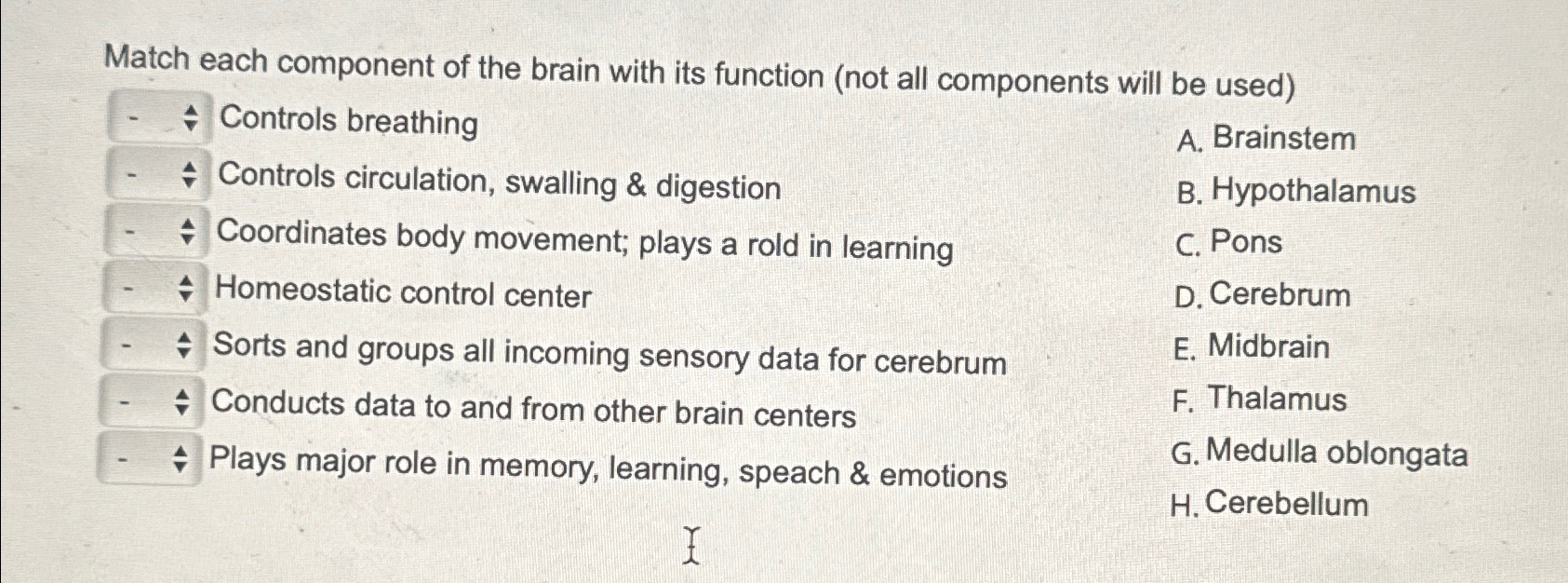 Solved Match each component of the brain with its function | Chegg.com