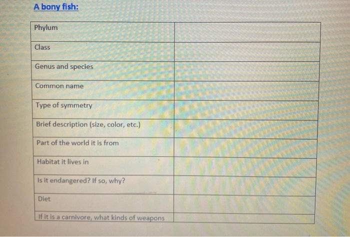 Solved A bony fish: Phylum Class Genus and species Common | Chegg.com