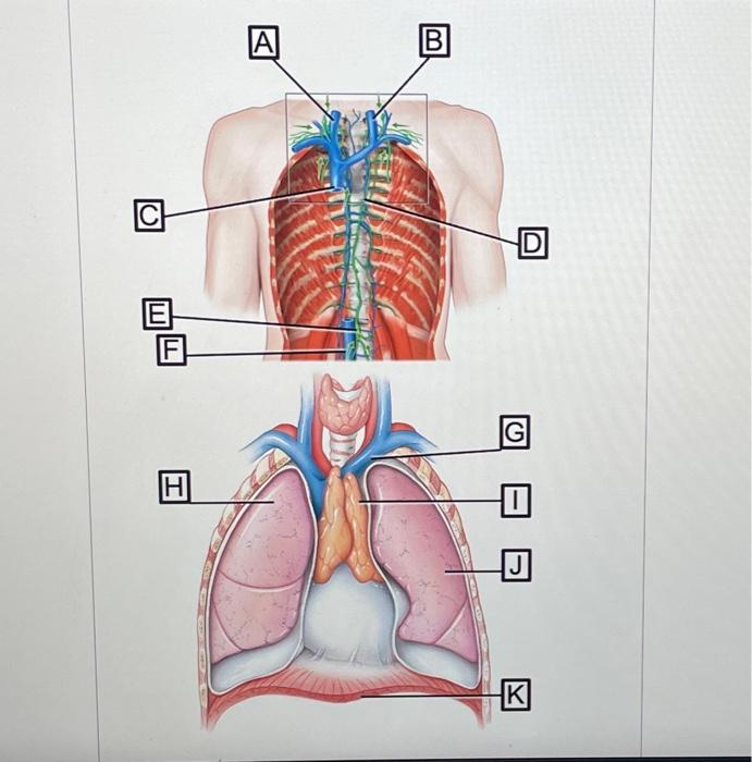 Solved label | Chegg.com