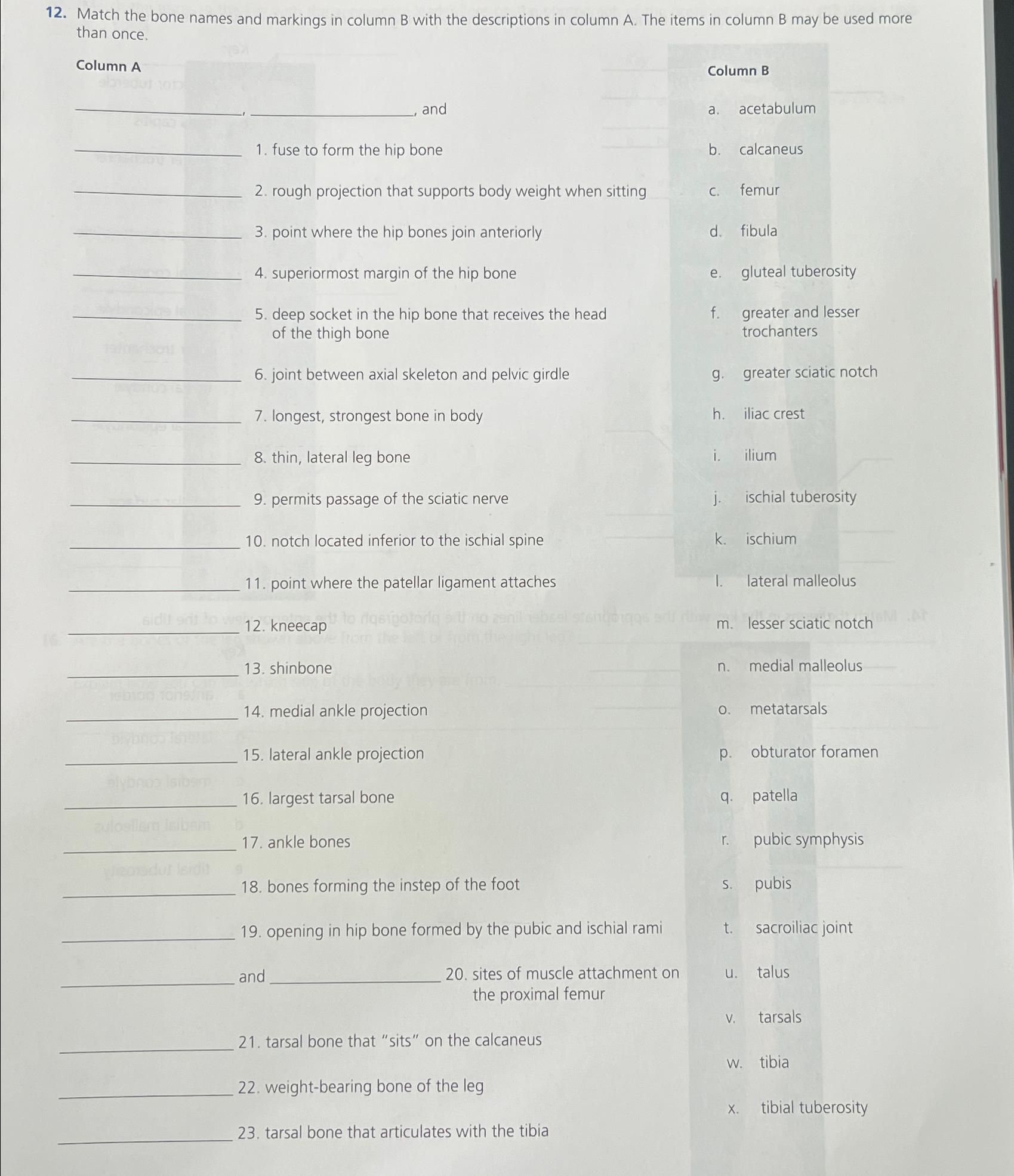 Solved Match the bone names and markings in column B with | Chegg.com