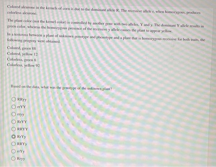 Solved Colored aleurone in the kernels of corn is due to the | Chegg.com