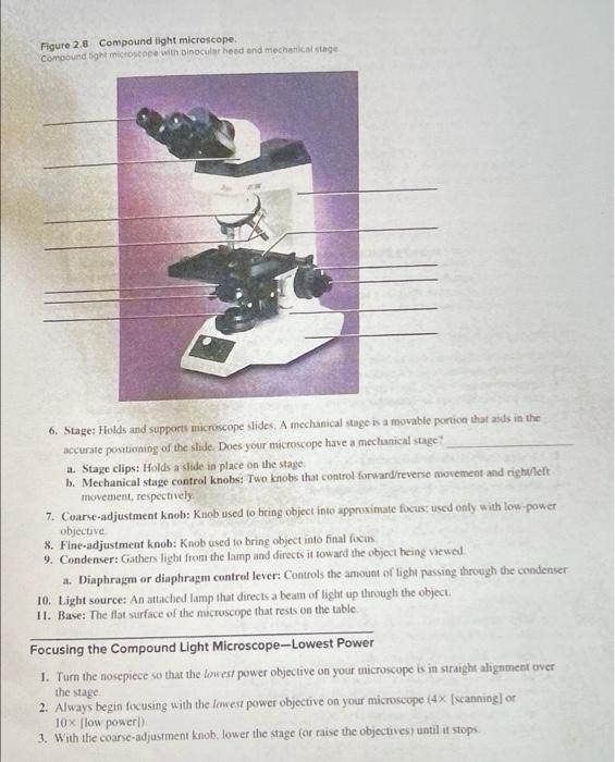 Solved Figure 2.8 Compound light microscope Compound sight | Chegg.com