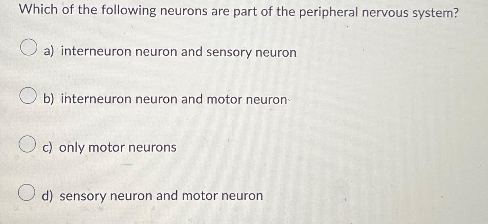 Solved Which of the following neurons are part of the | Chegg.com