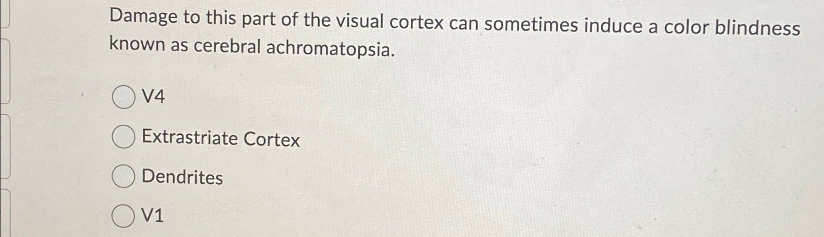 Solved Damage to this part of the visual cortex can | Chegg.com