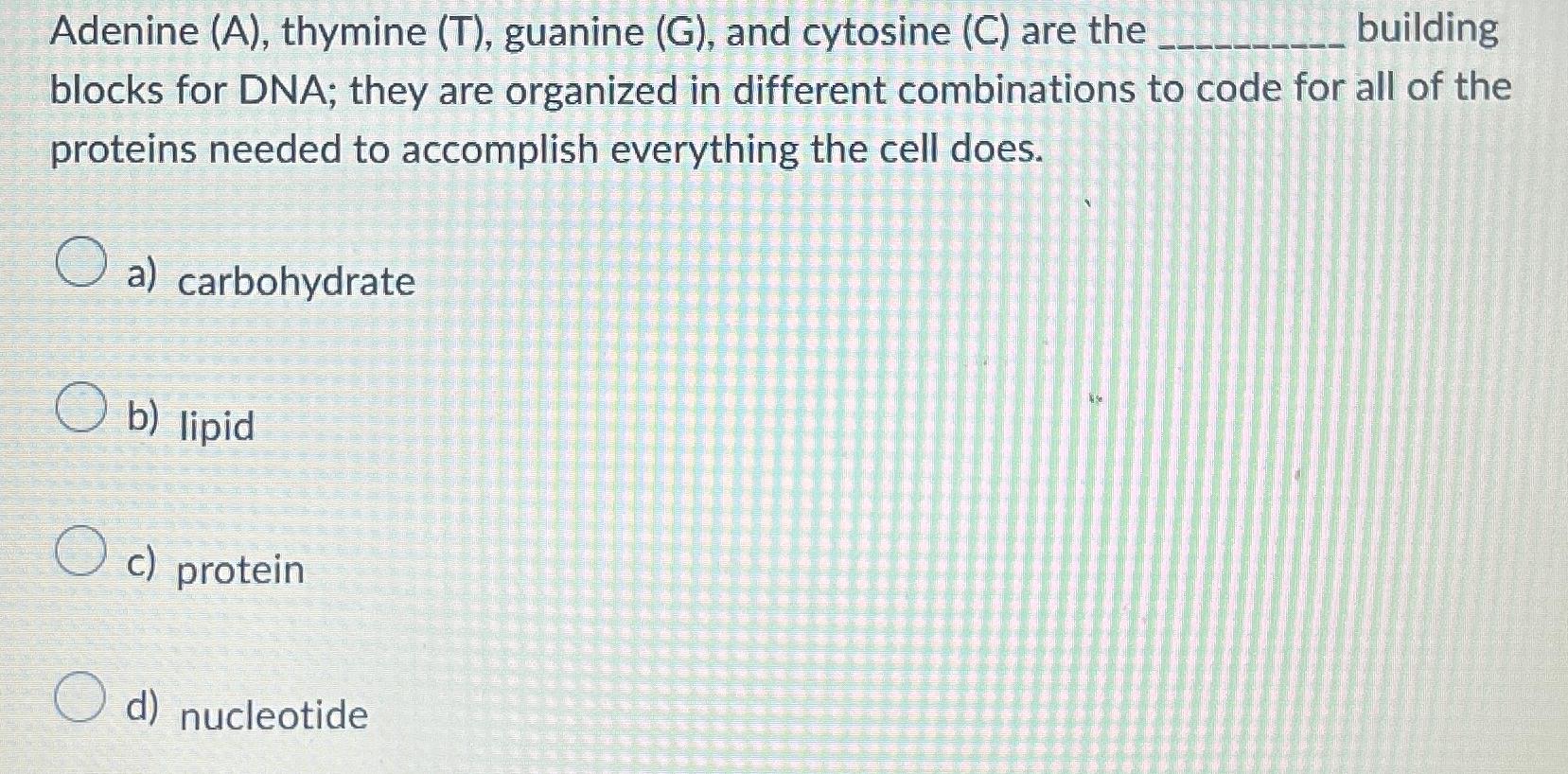 Solved Adenine (A), ﻿thymine (T), ﻿guanine (G), ﻿and | Chegg.com