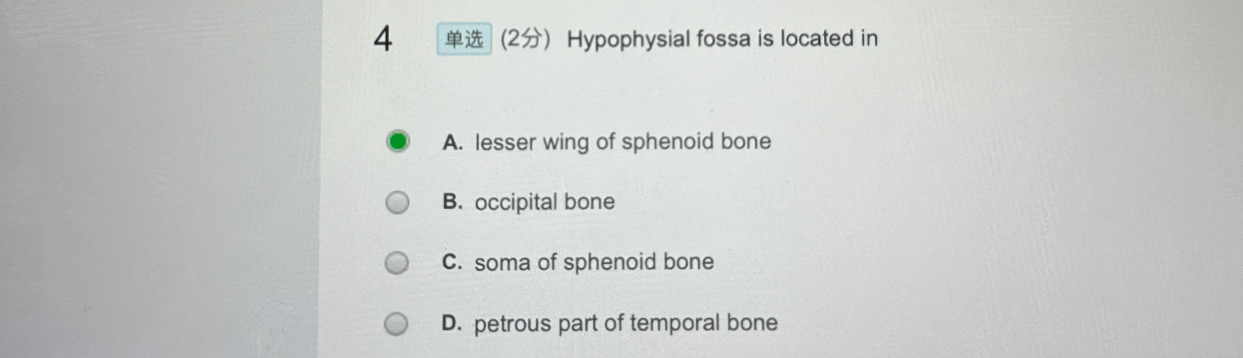 Solved 4 (2分) ﻿Hypophysial fossa is located inA. ﻿lesser | Chegg.com
