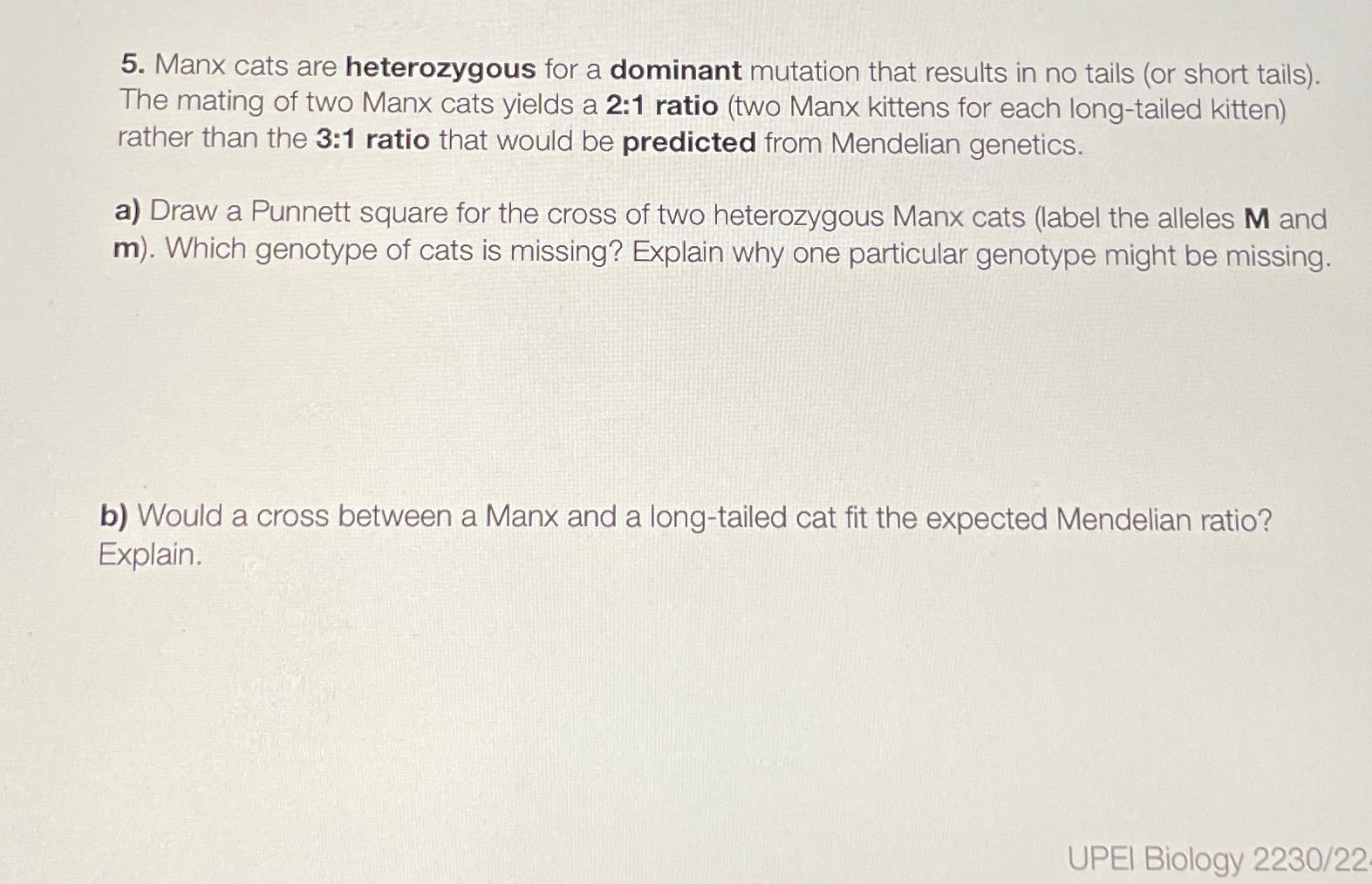 Solved Manx cats are heterozygous for a dominant mutation | Chegg.com
