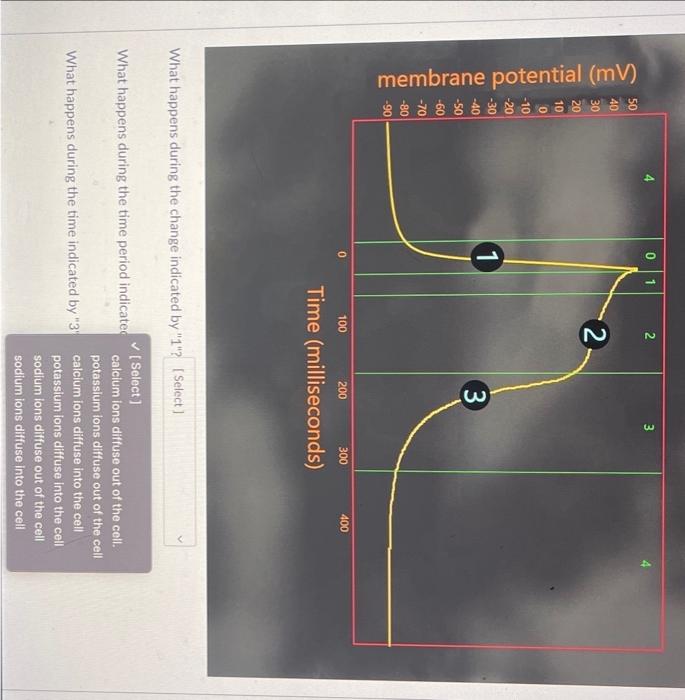 Solved Time (milliseconds) What happens during the change | Chegg.com