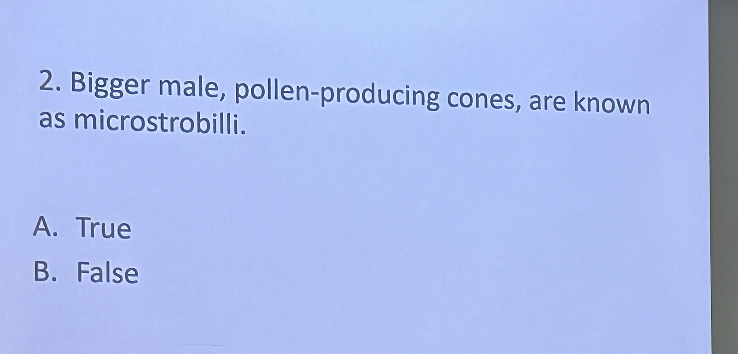 Solved Bigger male, pollen-producing cones, are known as | Chegg.com