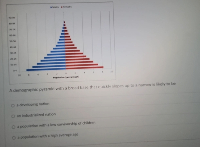Solved A demographic pyramid with a broad base that quickly | Chegg.com