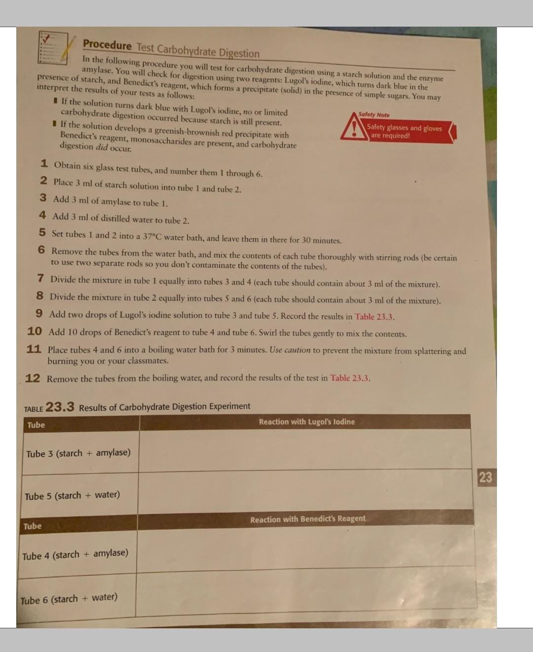 Solved Procedure Test Carbohydrate Digestion In the | Chegg.com