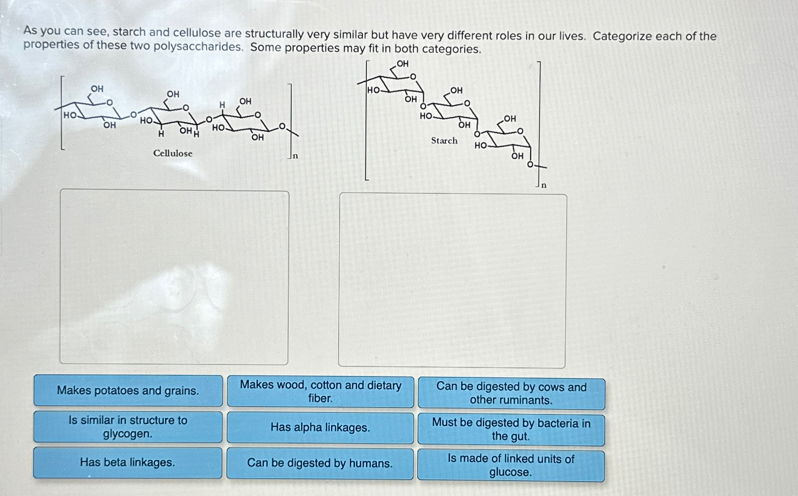 Solved As you can see, starch and cellulose are structurally | Chegg.com