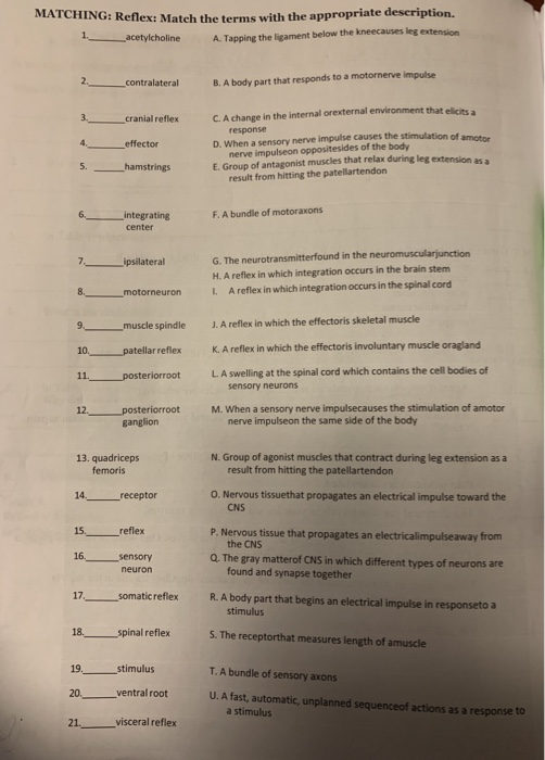 Solved MATCHING: Reflex: Match the terms with the | Chegg.com