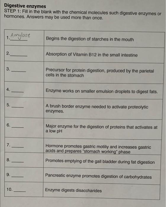Solved Digestive enzymes STEP 1: Fill in the blank with the | Chegg.com