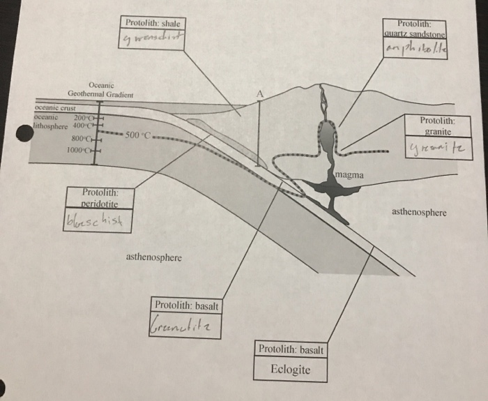 Solved Protolith: shale Protolth: quartz sandstone 9 | Chegg.com