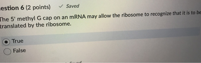 Solved the 5 methyl g cap on an mRNA May allow the ribosome | Chegg.com